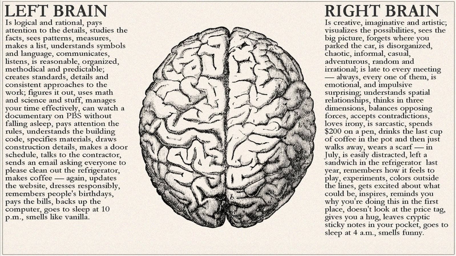 The Brain of a Designer – Archistudent